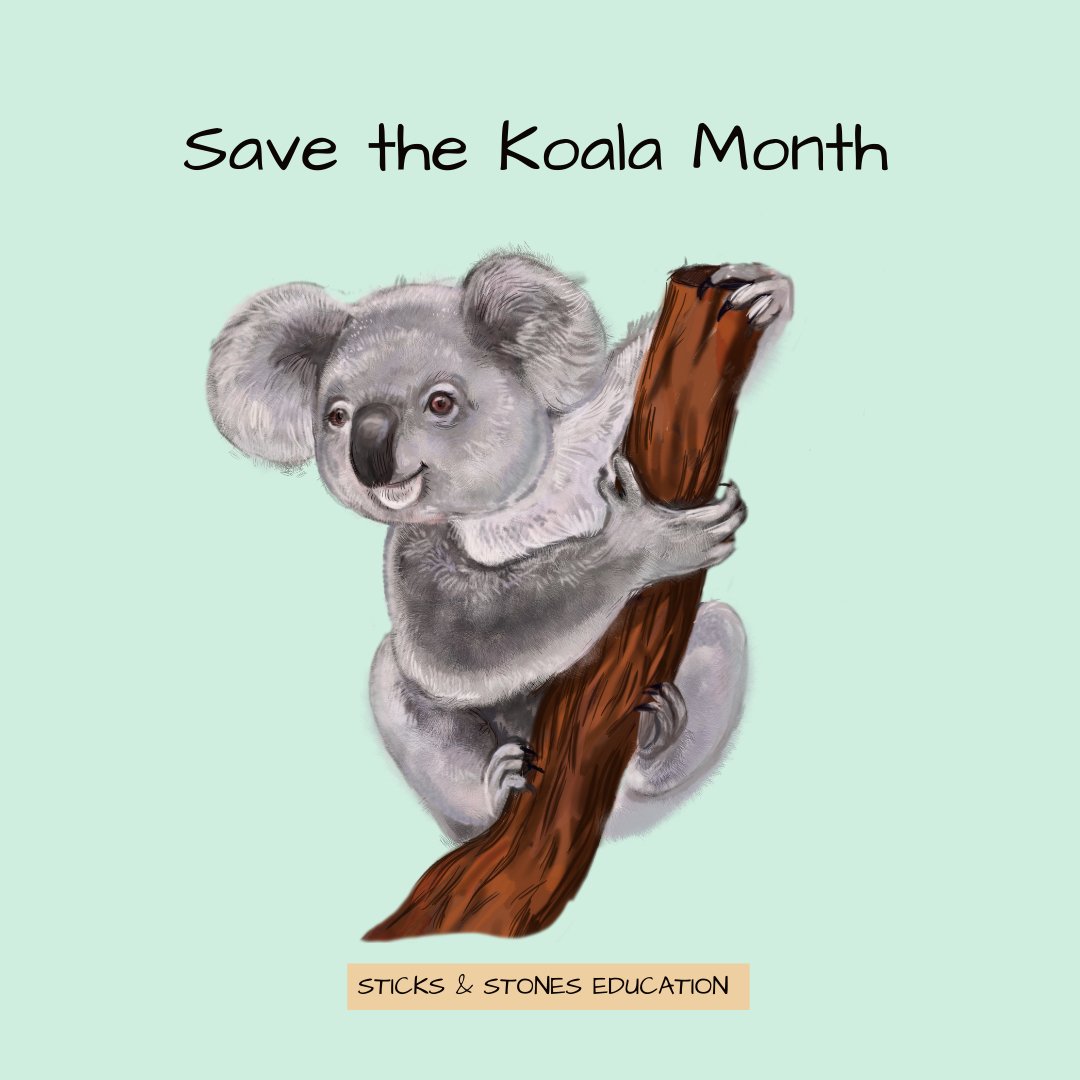 Save the Koala Month: Commemorate in ECE - Sticks & Stones Education