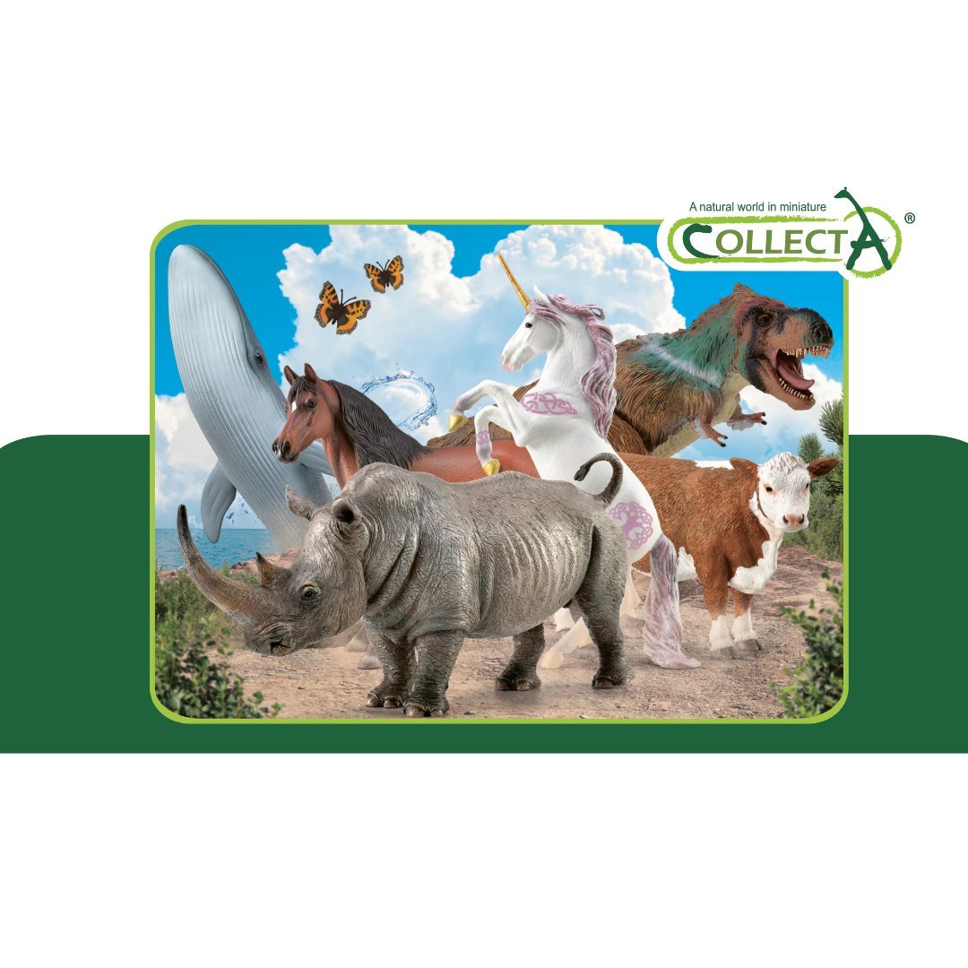 CollectA Figurines - Sticks & Stones Education - Sticks & Stones Education